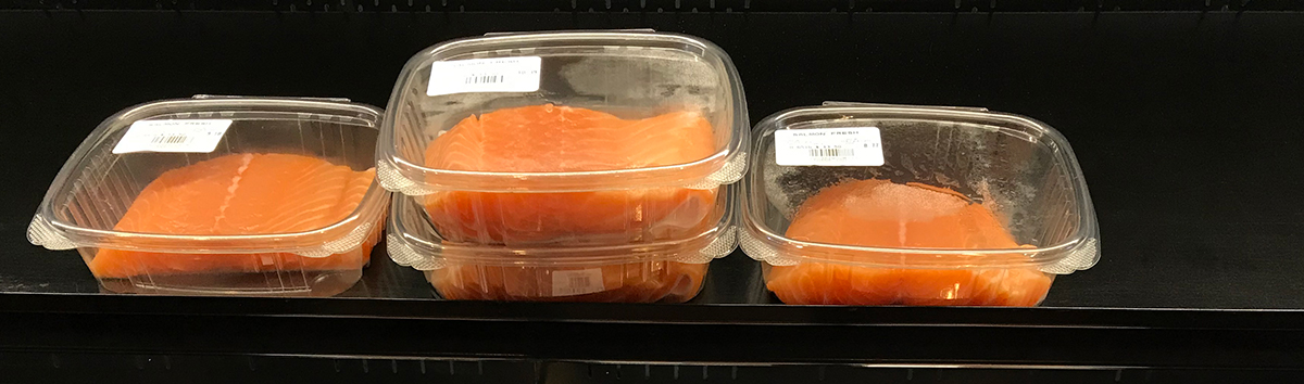 Fresh TODAY – Salmon Fillet – Mohawk Harvest Cooperative Market